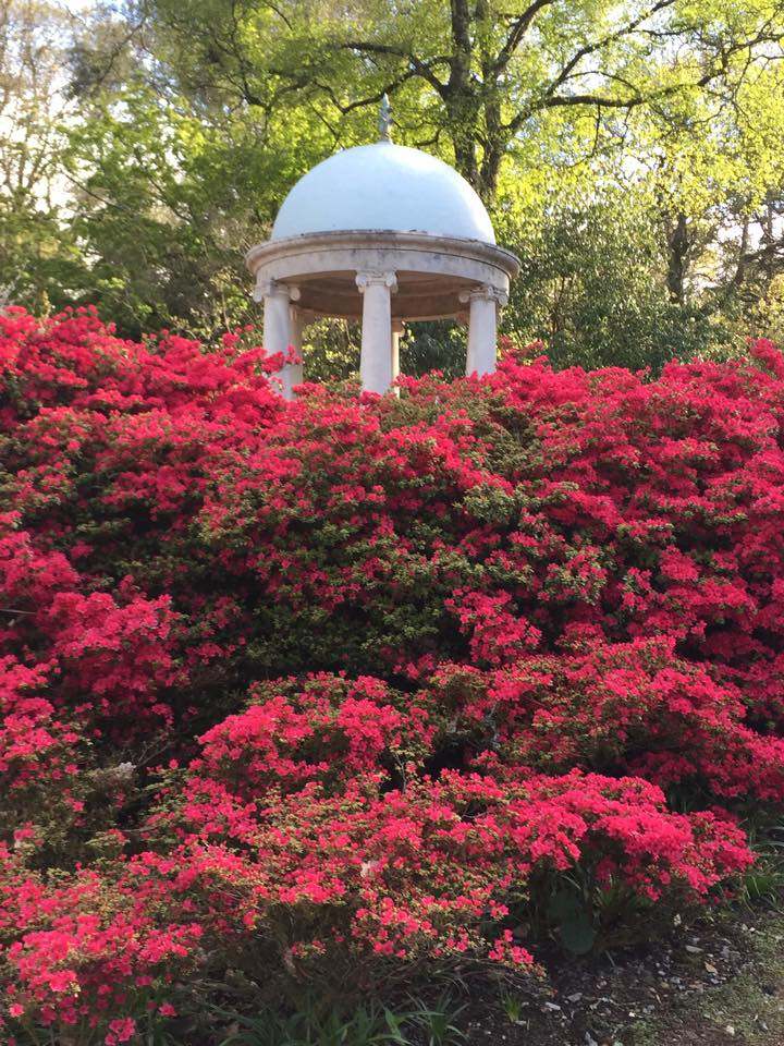 Mount Congreve Gardens