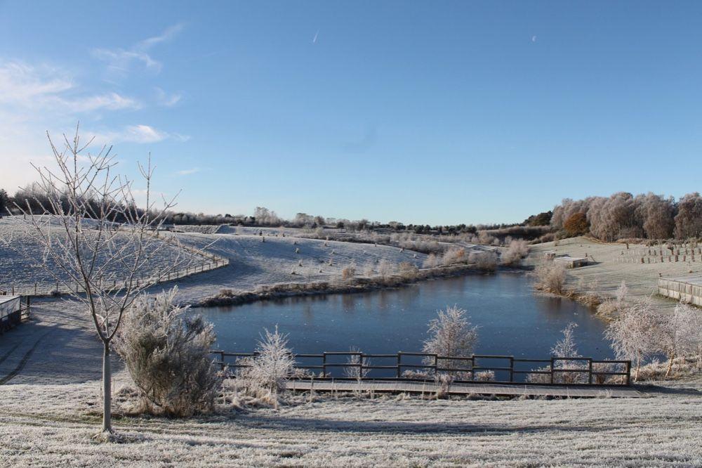 Murton Farm, Tearoom & Nature Reserve
