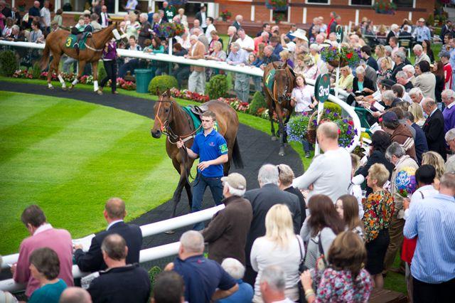 Bangor-on-Dee Racecourse