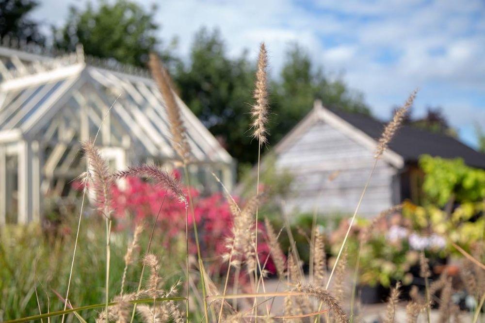 Beetham Nurseries & Garden Centre