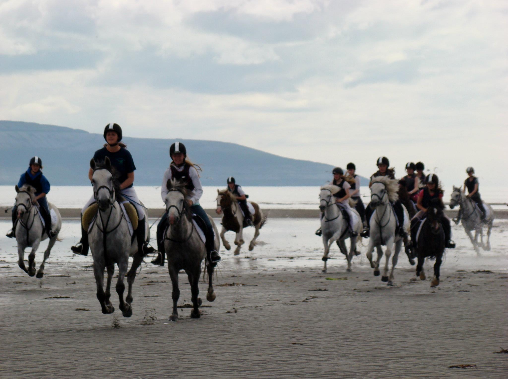 Moycullen Riding Centre | Top 100