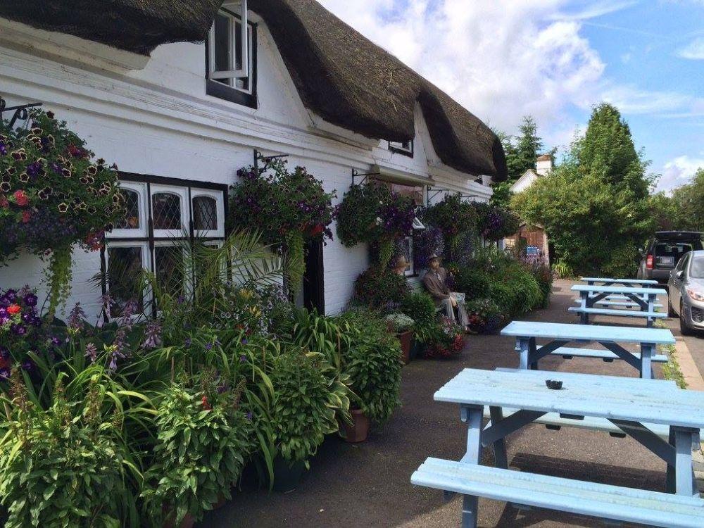 The Holly Bush Inn | Top 100
