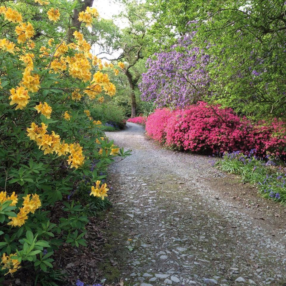 Mount Congreve Gardens