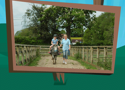 Cefn Mably Farm Park | Top 100 Attractions