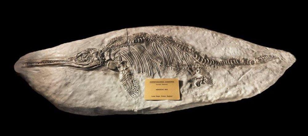 Treasures of The Earth | Top 100 Attractions