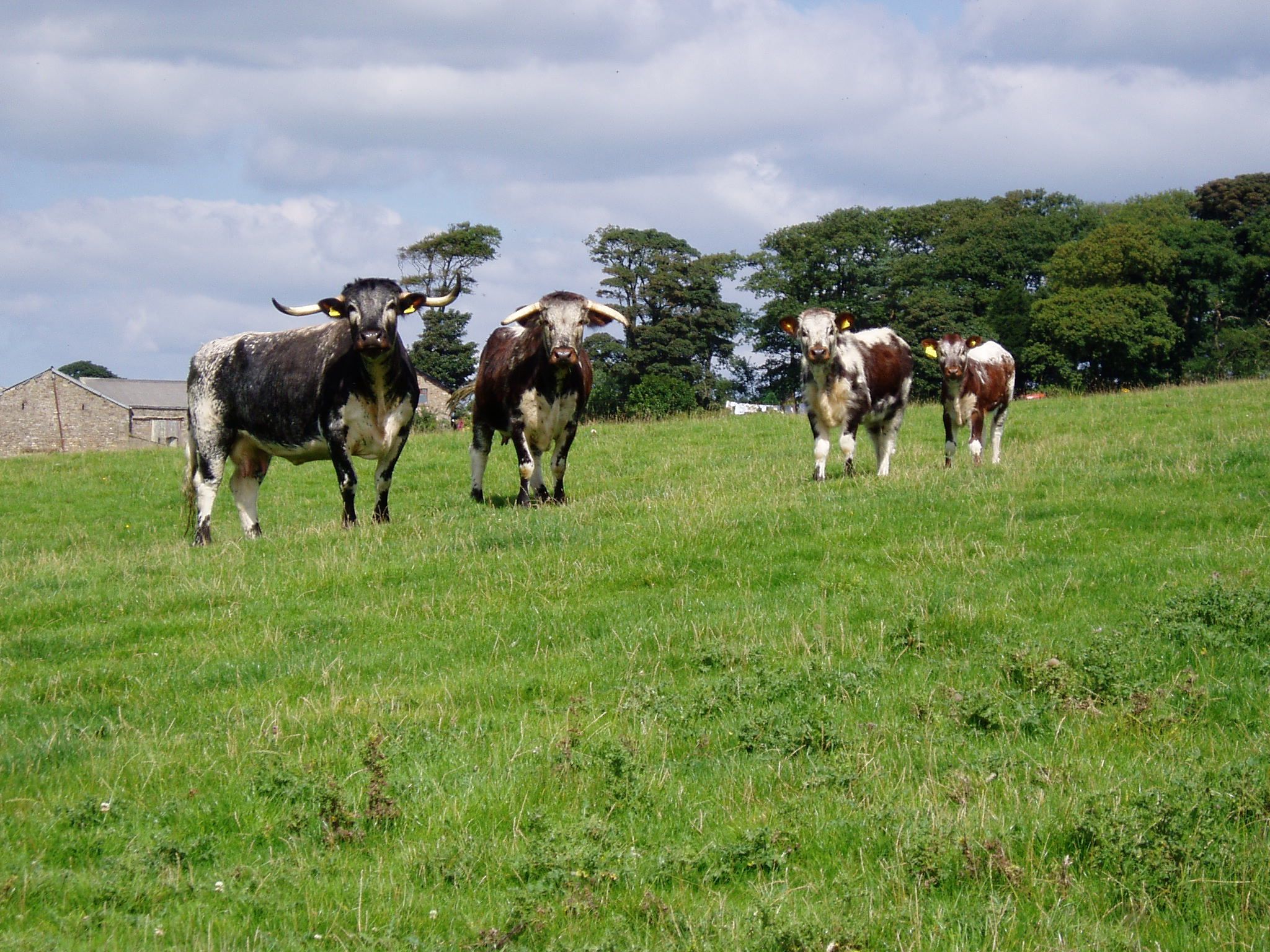 Cobble Hey Farm & Gardens