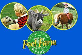 Foel Farm Park