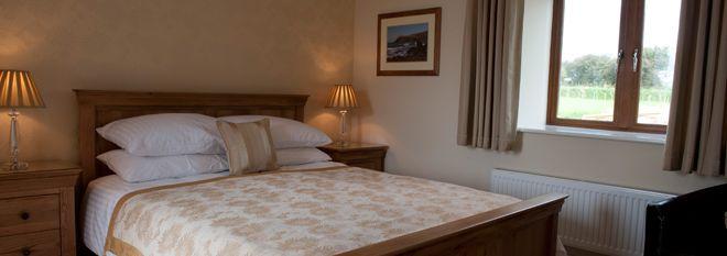 The Harp at Letterston -Restaurant with Rooms | Top 100 Attractions