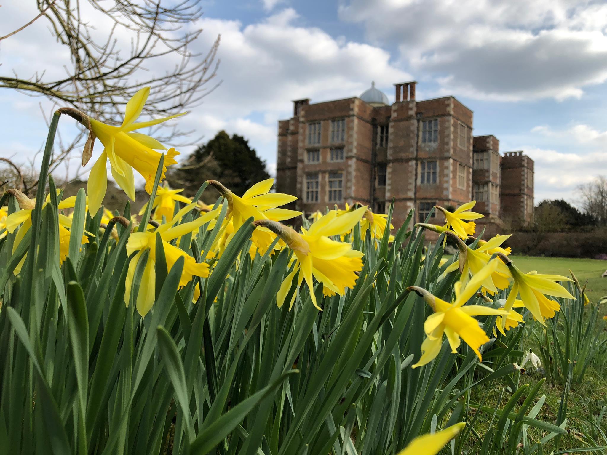 Doddington Hall & Gardens | Top 100