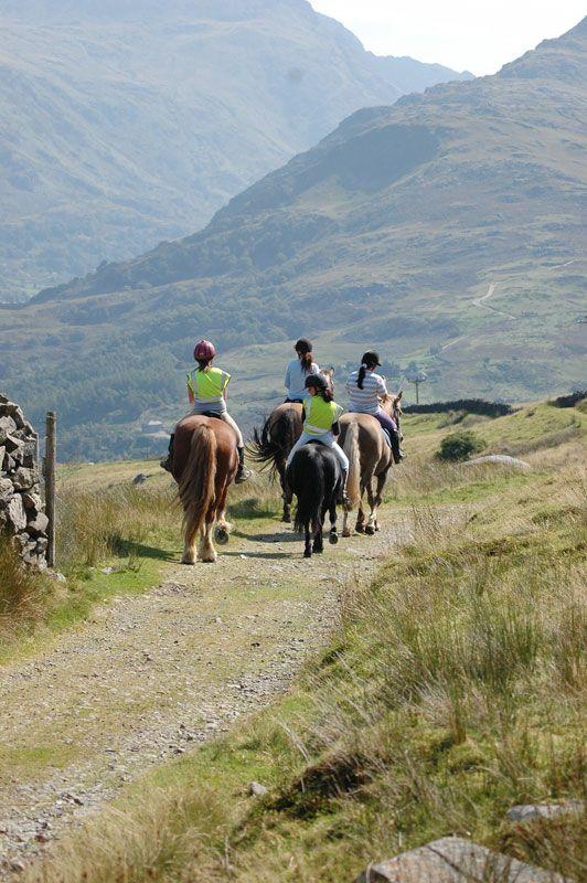 Snowdonia Riding Stables