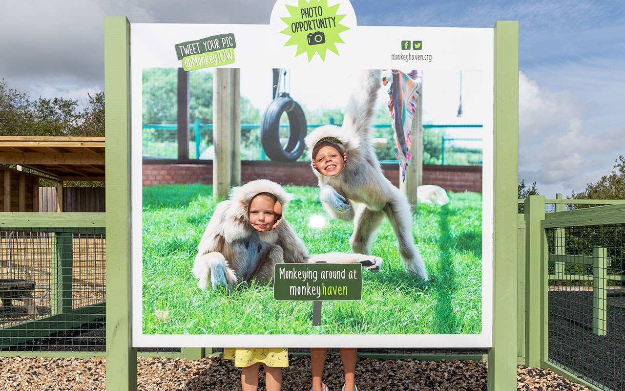 Monkey Haven - Primate Rescue Centre | Top 100 Attractions