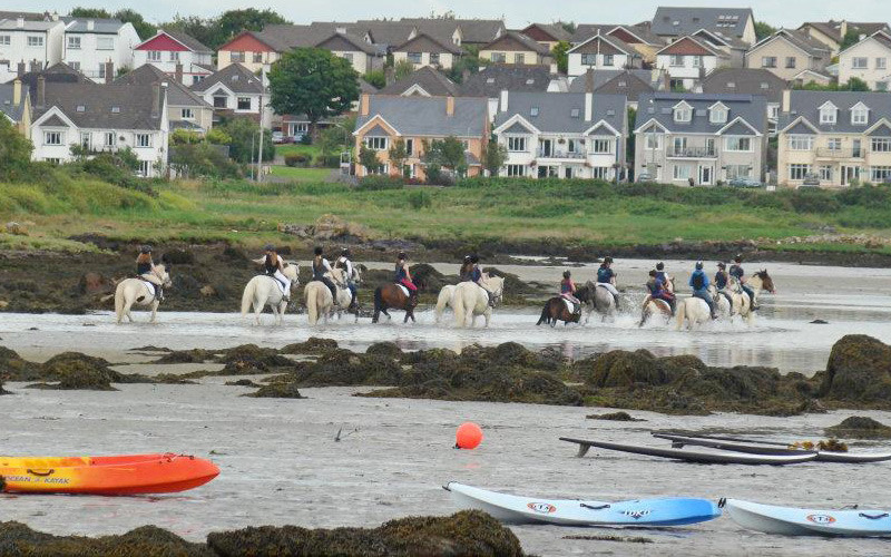 Moycullen Riding Centre | Top 100