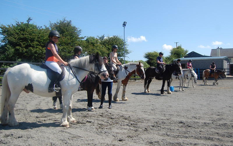 Moycullen Riding Centre | Top 100 Attractions