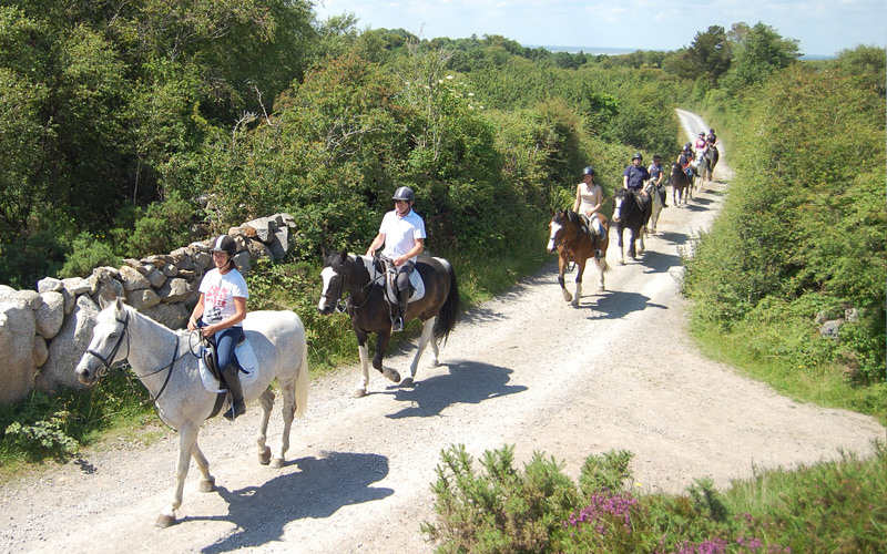 Moycullen Riding Centre | Top 100 Attractions