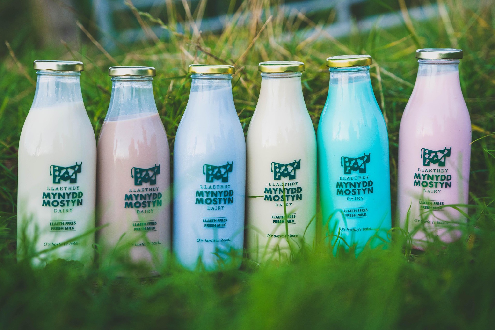 Mynydd Mostyn Dairy (Holywell) | Top 100