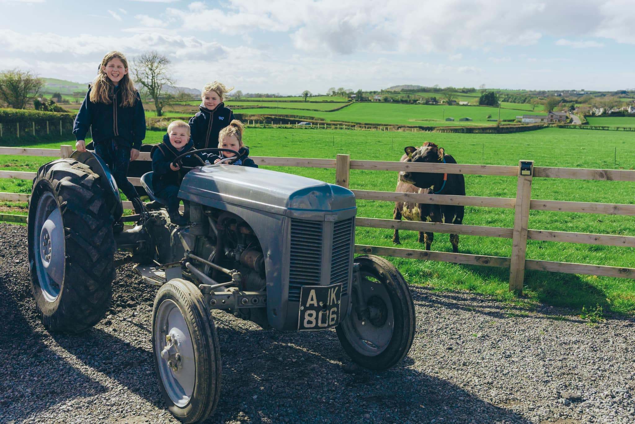 Mynydd Mostyn Dairy (Holywell) | Top 100