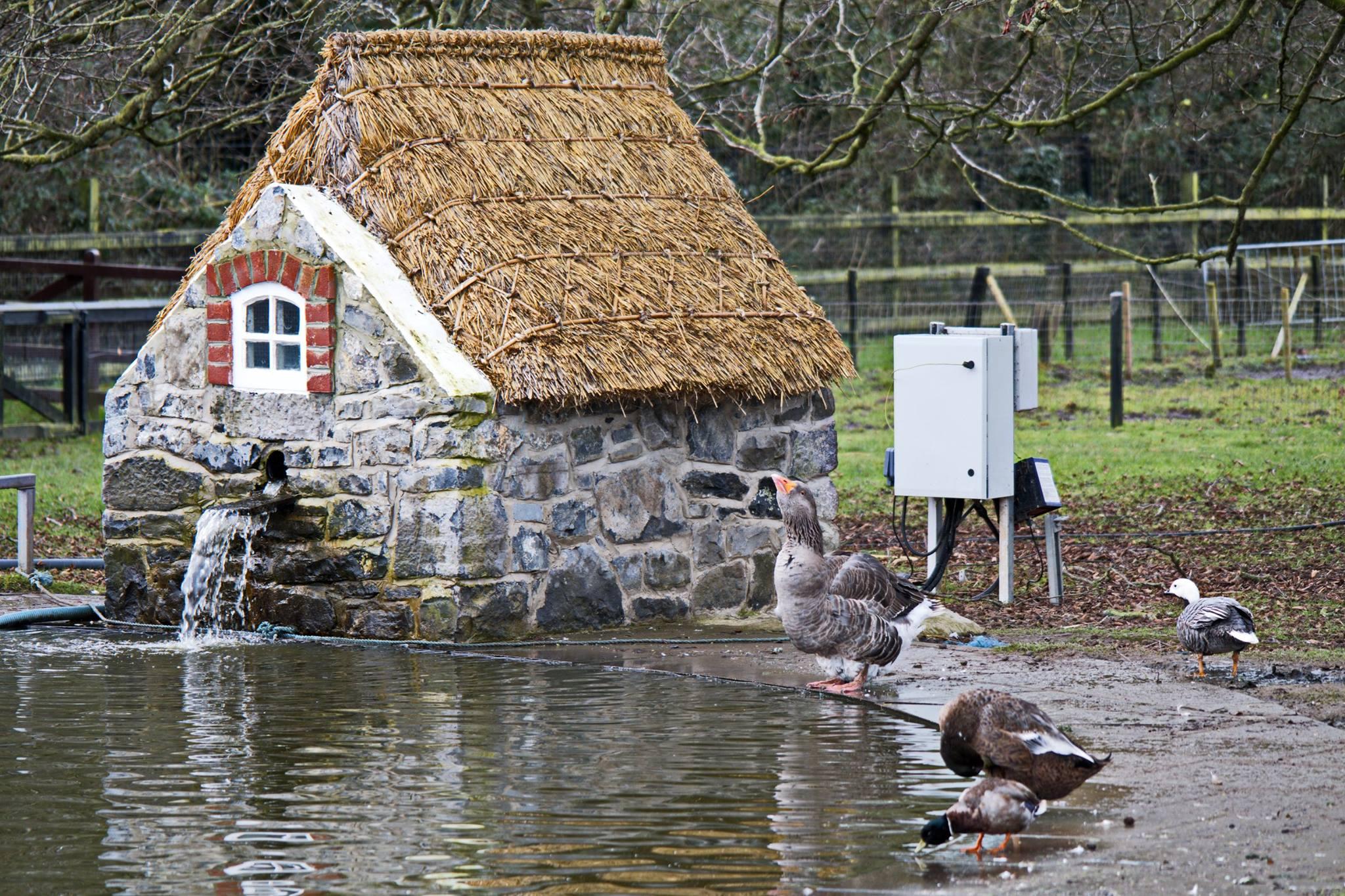 Newbridge House & Farm | Top 100