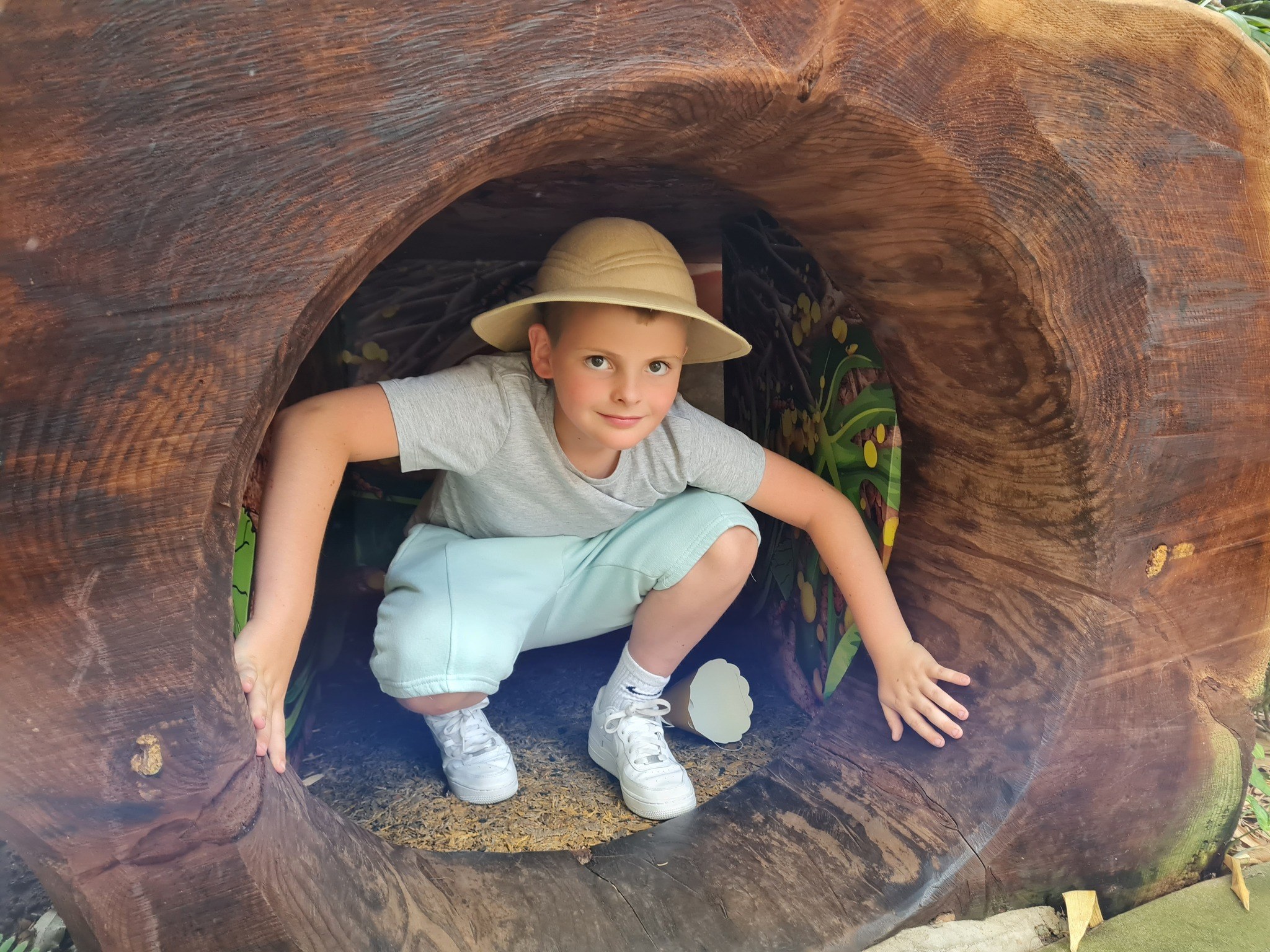 Plantasia Tropical Zoo | Top 100