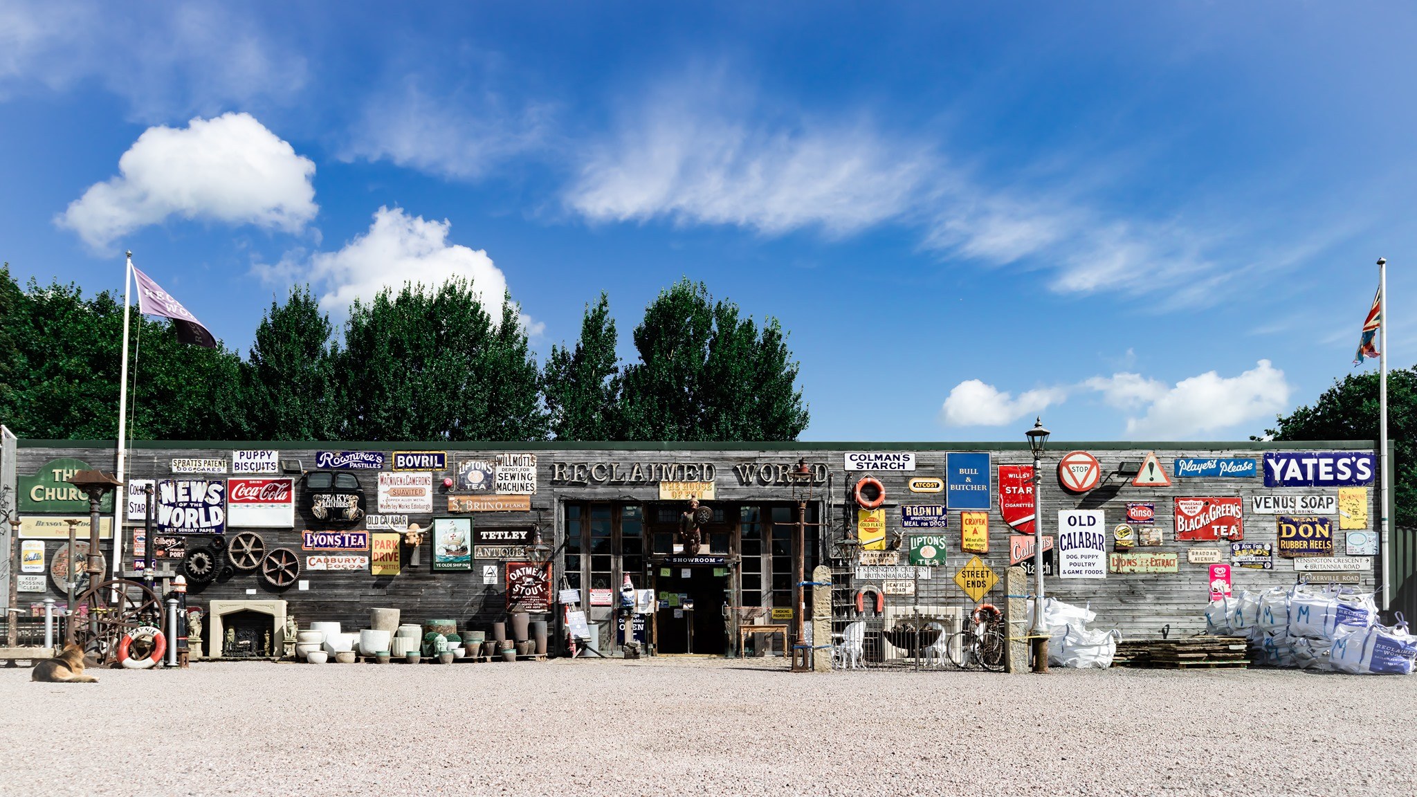 Reclaimed World | Top 100