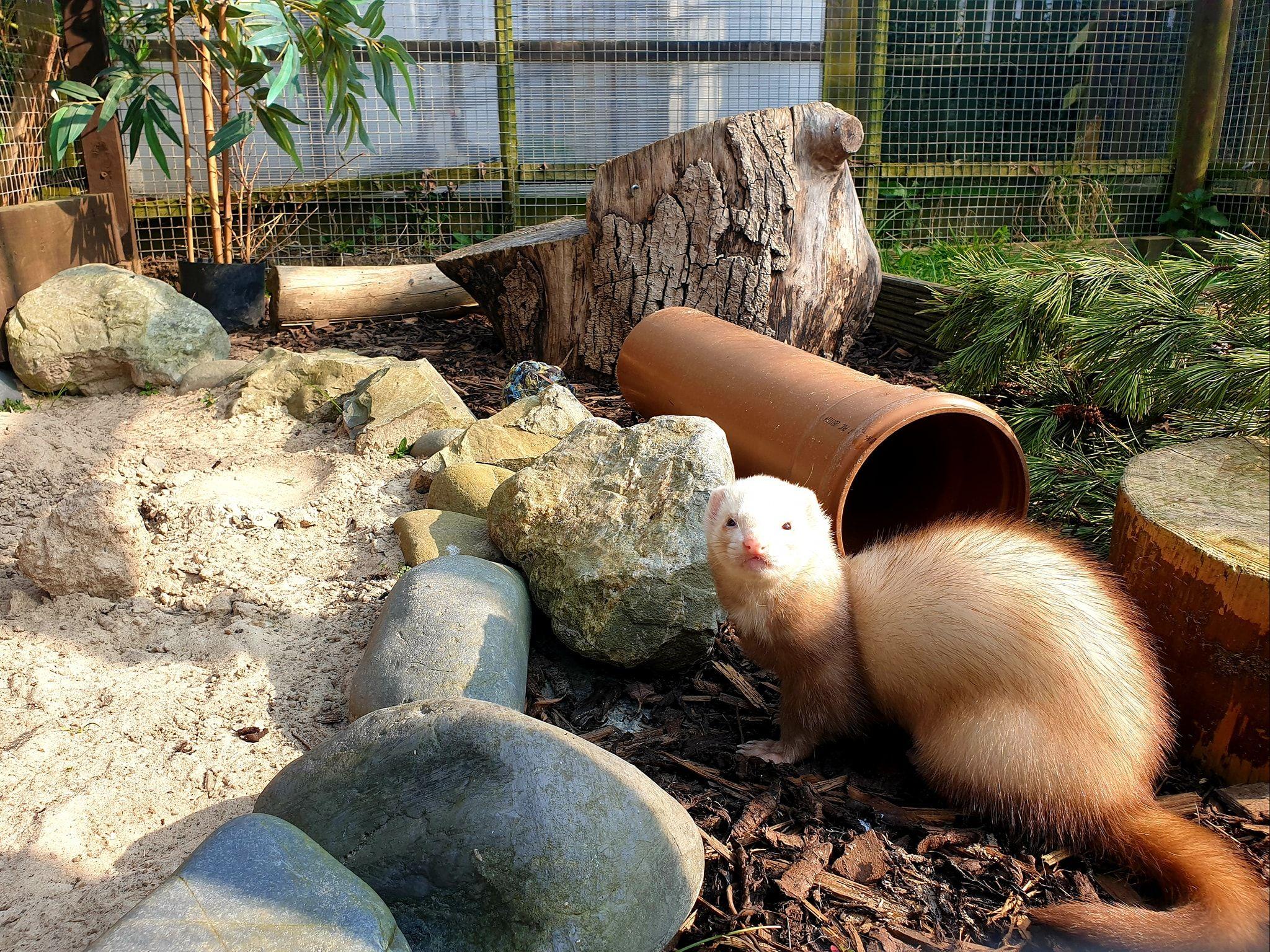 The Animalarium | Top 100