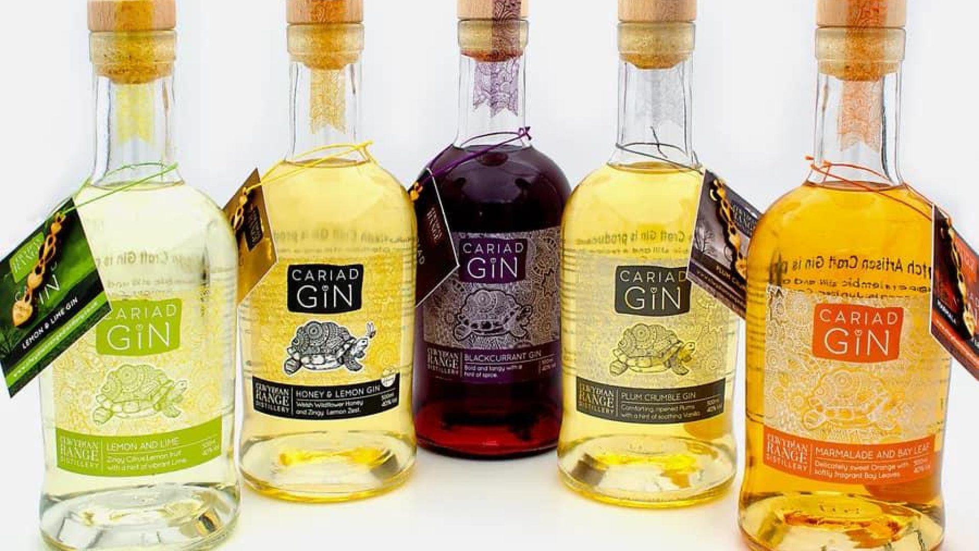 Cariad Gin | Top 100