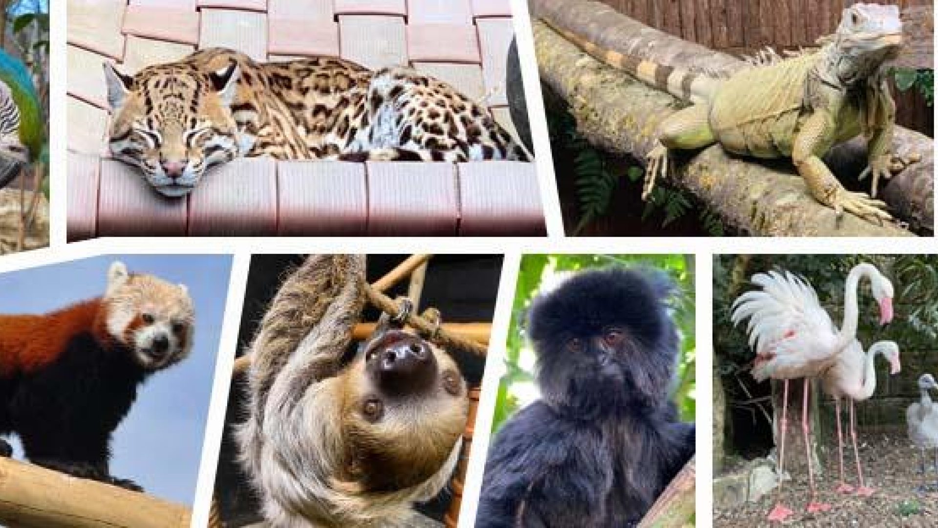 Amazon World Zoo Park | Top 100