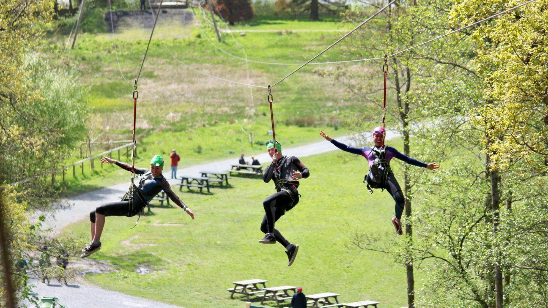 Treetop Trek Windermere | Top 100