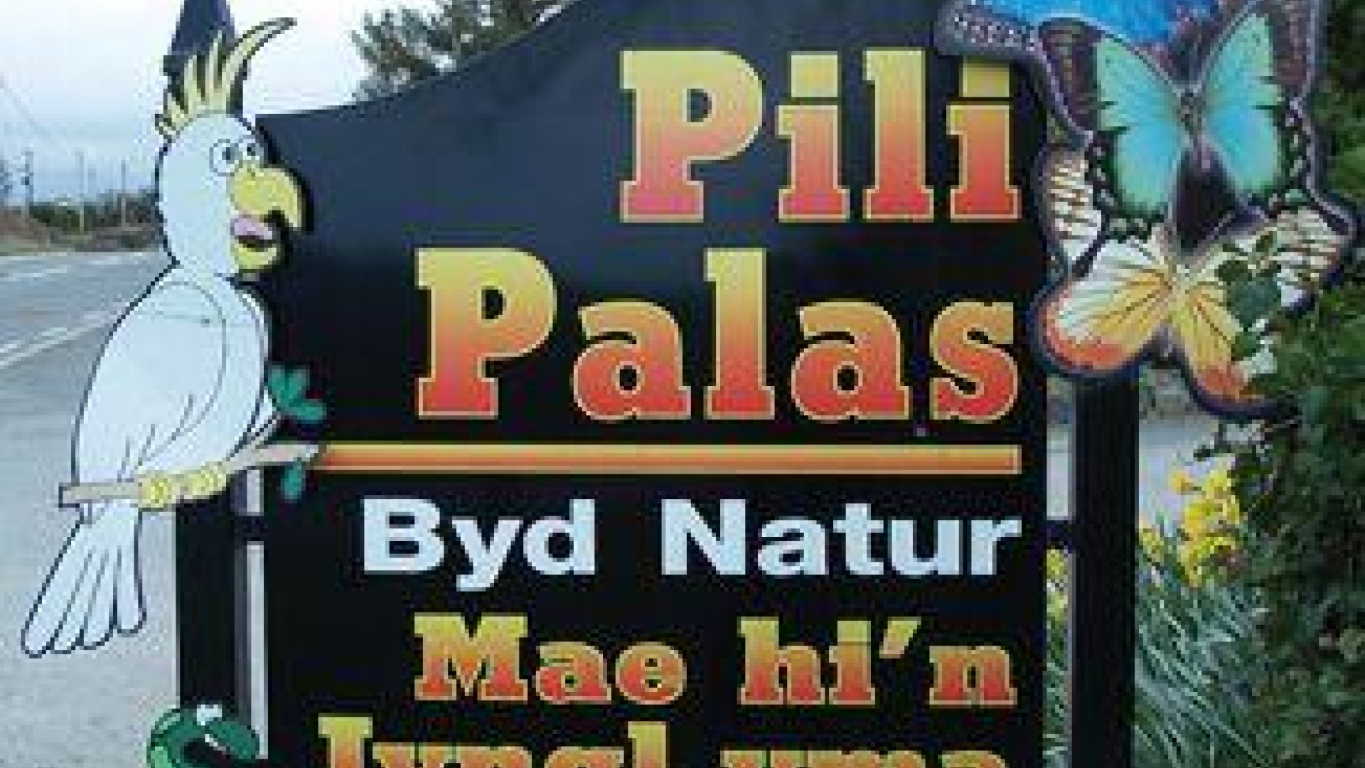 Pili Palas Nature World | Top 100