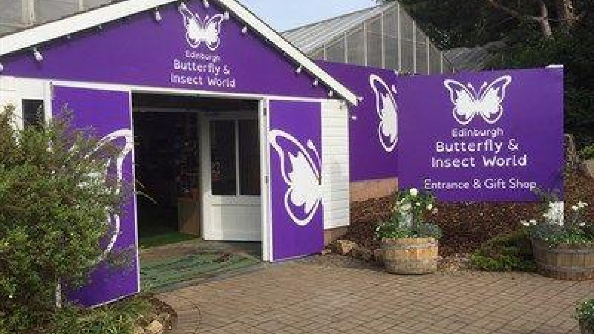 Edinburgh Butterfly & Insect World | Top 100