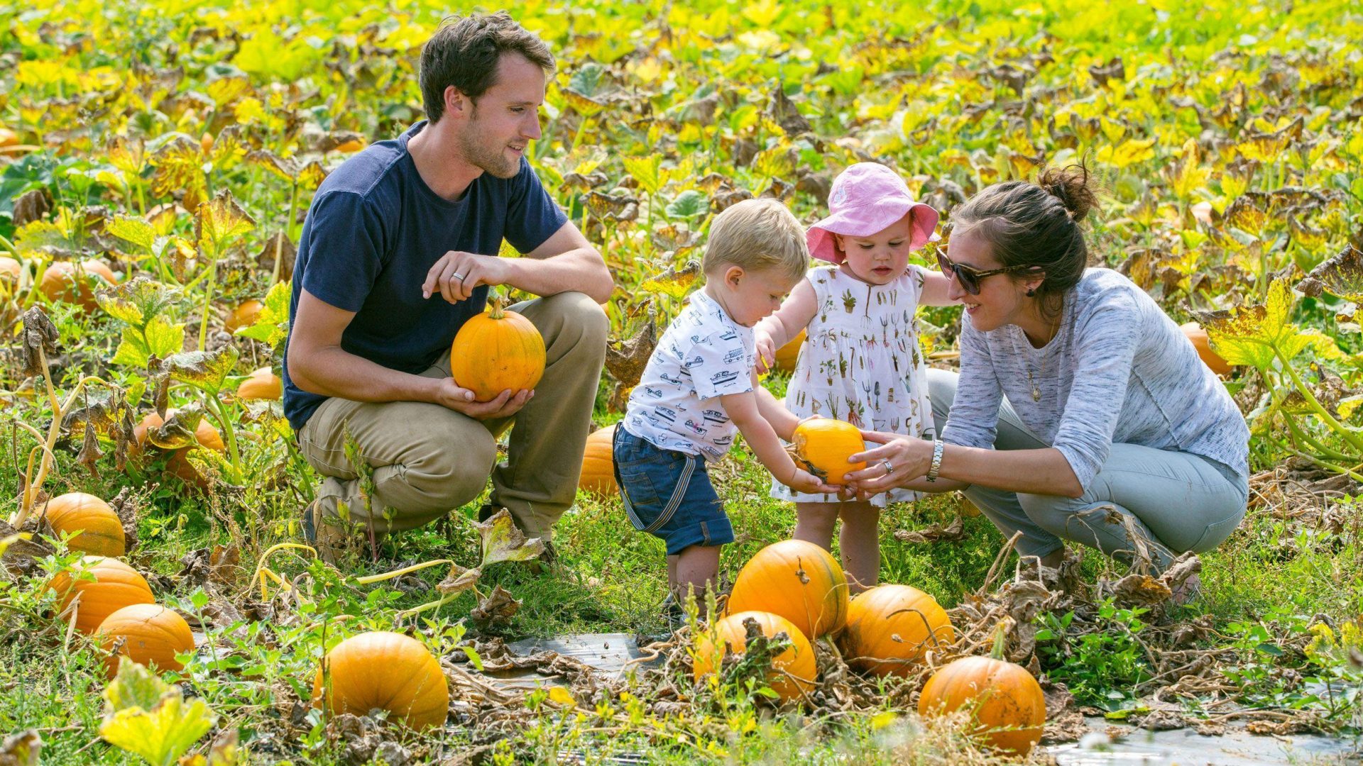 Millets Farm Centre | Top 100 Attractions