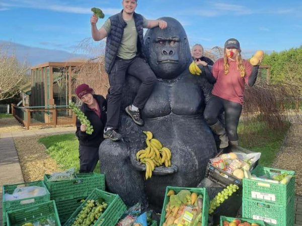 Monkey Haven - Primate Rescue Centre | Top 100 Attractions