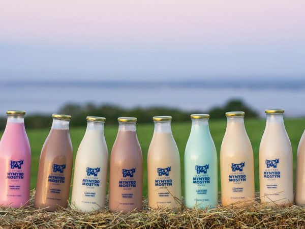 Mynydd Mostyn Dairy (Holywell) | Top 100