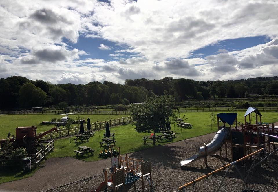 Cefn Mably Farm Park | Top 100 Attractions