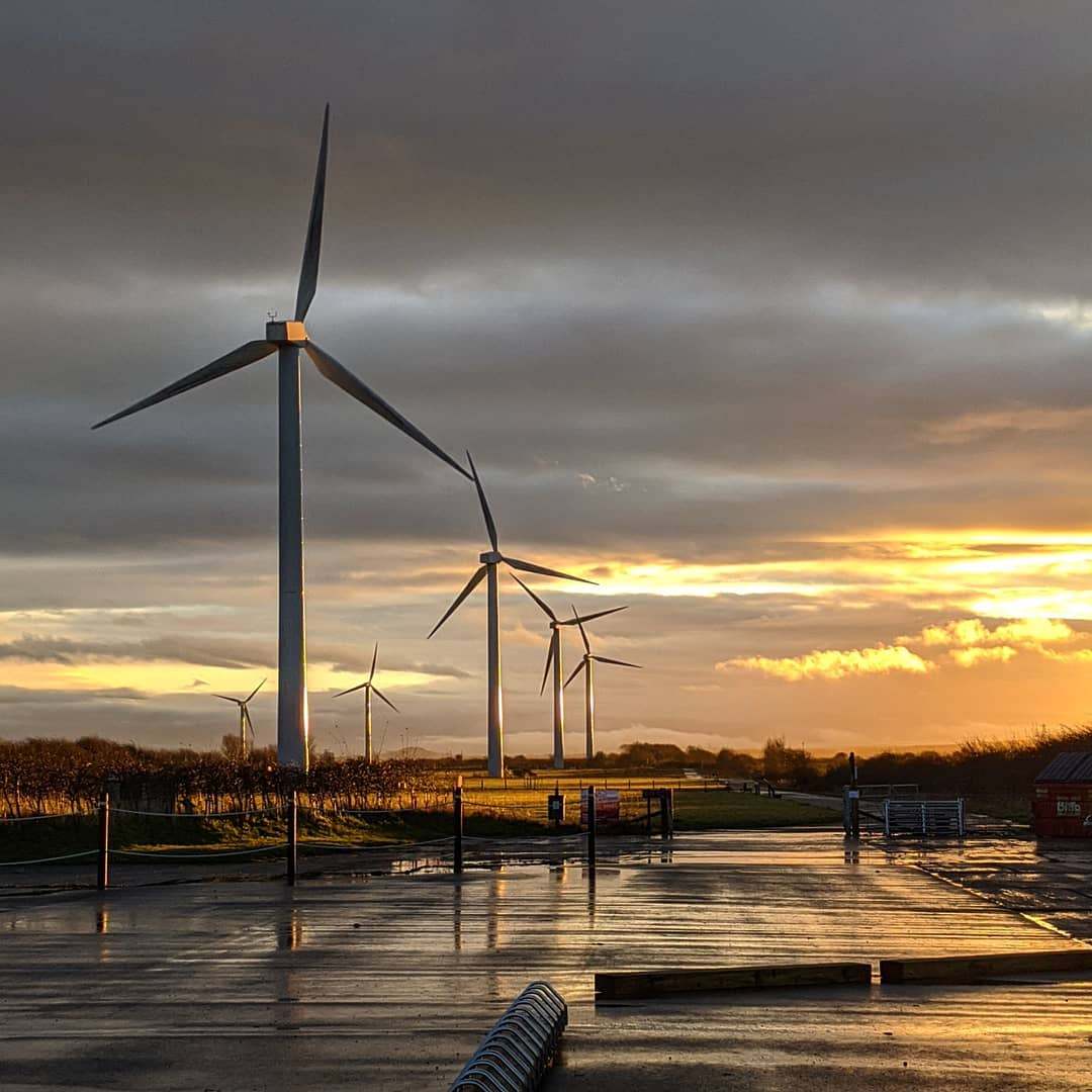 Watchtree Nature Reserve
