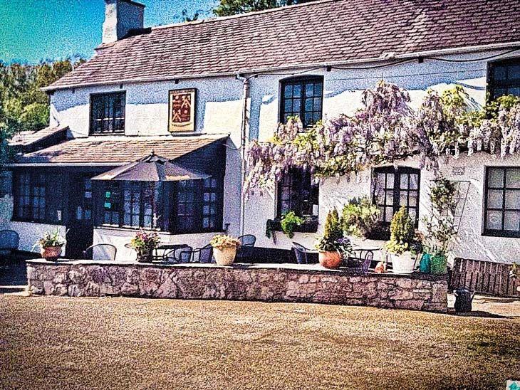 Kinmel Arms | Top 100