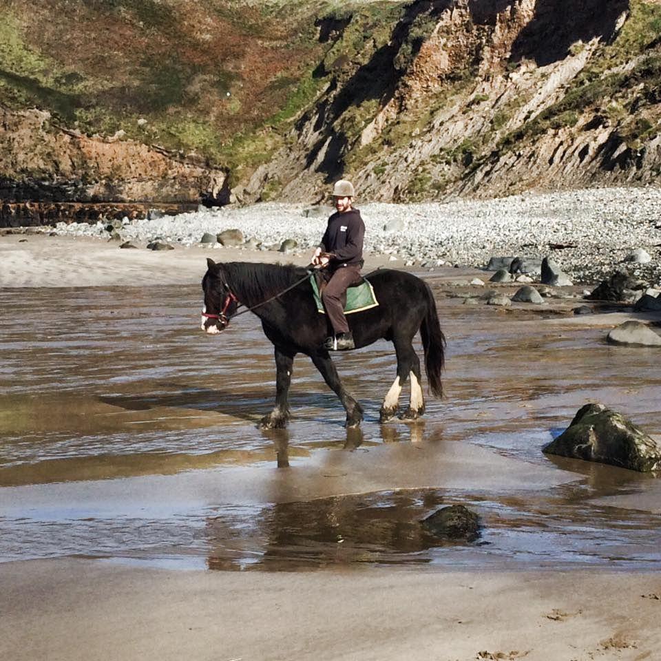 Nolton Stables | Top 100 Attractions